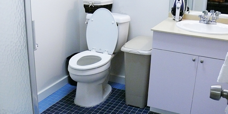 Ways to Prevent Toilet Backups | Metro Septic Pumping