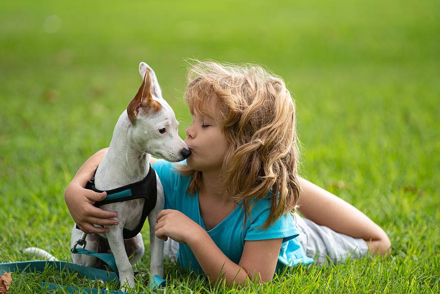 3 Septic Tank Tips When You Have Kids and Pets | Metro Septic Pumping