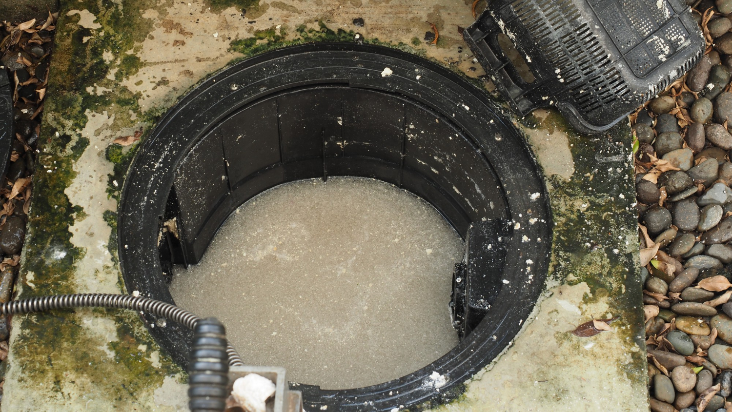 Signs Your Septic Tank Is Full and Needs Pumping | Metro Septic Pumping